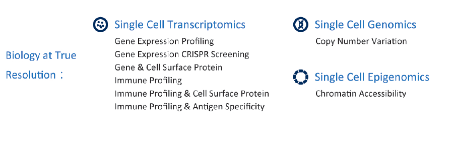 Chromiun Single Cell Controller-北京怡美通德科技发展有限公司